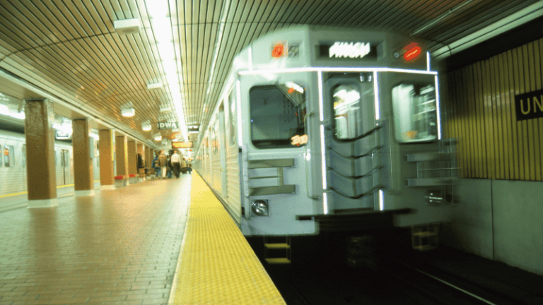 T5 vs. T8 vs. T12: Wie trifft man die beste Wahl?