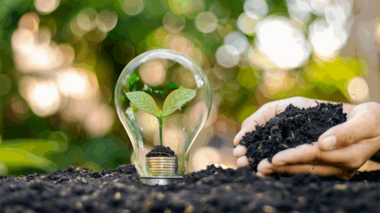 Guida completa alle dimensioni, tipi, forme e codici delle lampadine